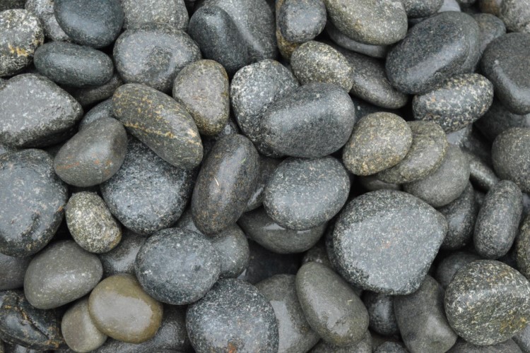 Pebble Stone - Asian Stones