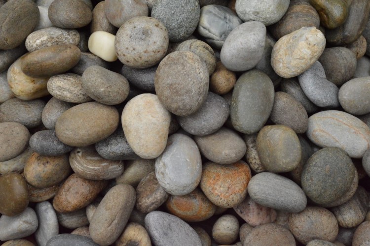 Pebble Stone - Asian Stones