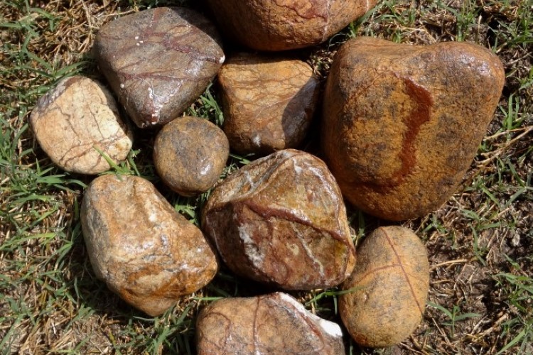 Pebble Stone - Asian Stones