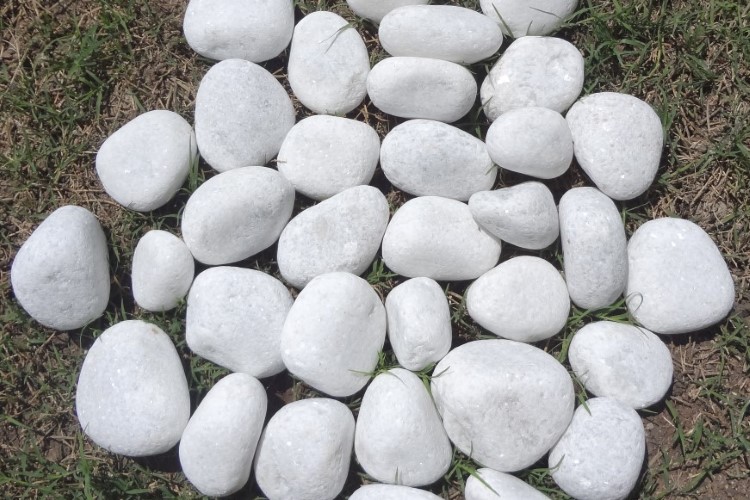 Pebble Stone - Asian Stones